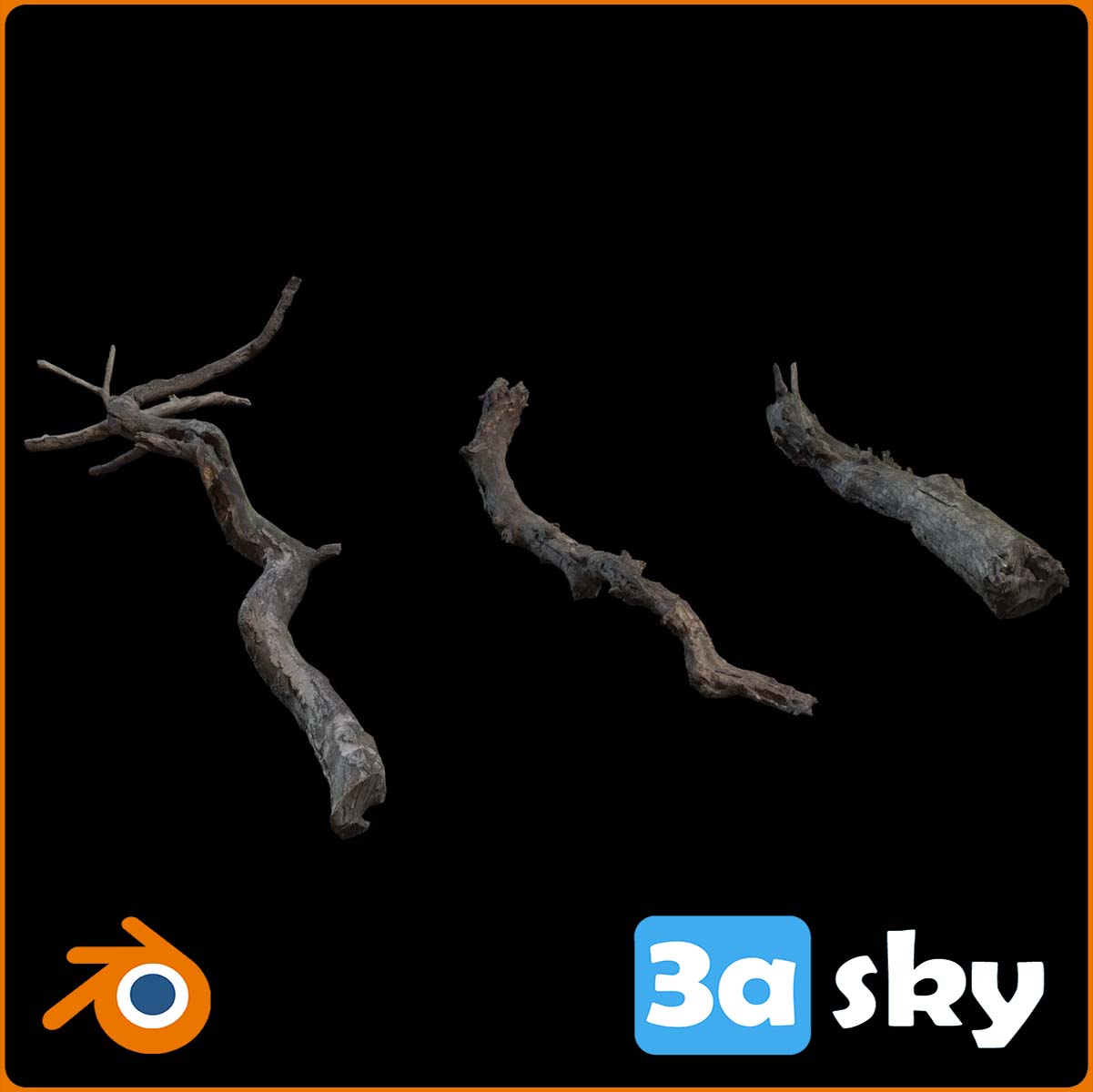 dry_branches_medium_01_4k.blend from BLENDER Models & Free Download