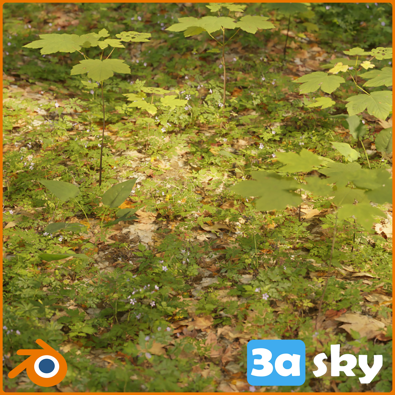 Maple Woodland from BLENDER Models & Free Download