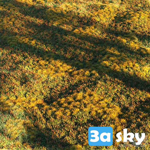 Grass Set 2 from 3DS MAX Models & Free Download