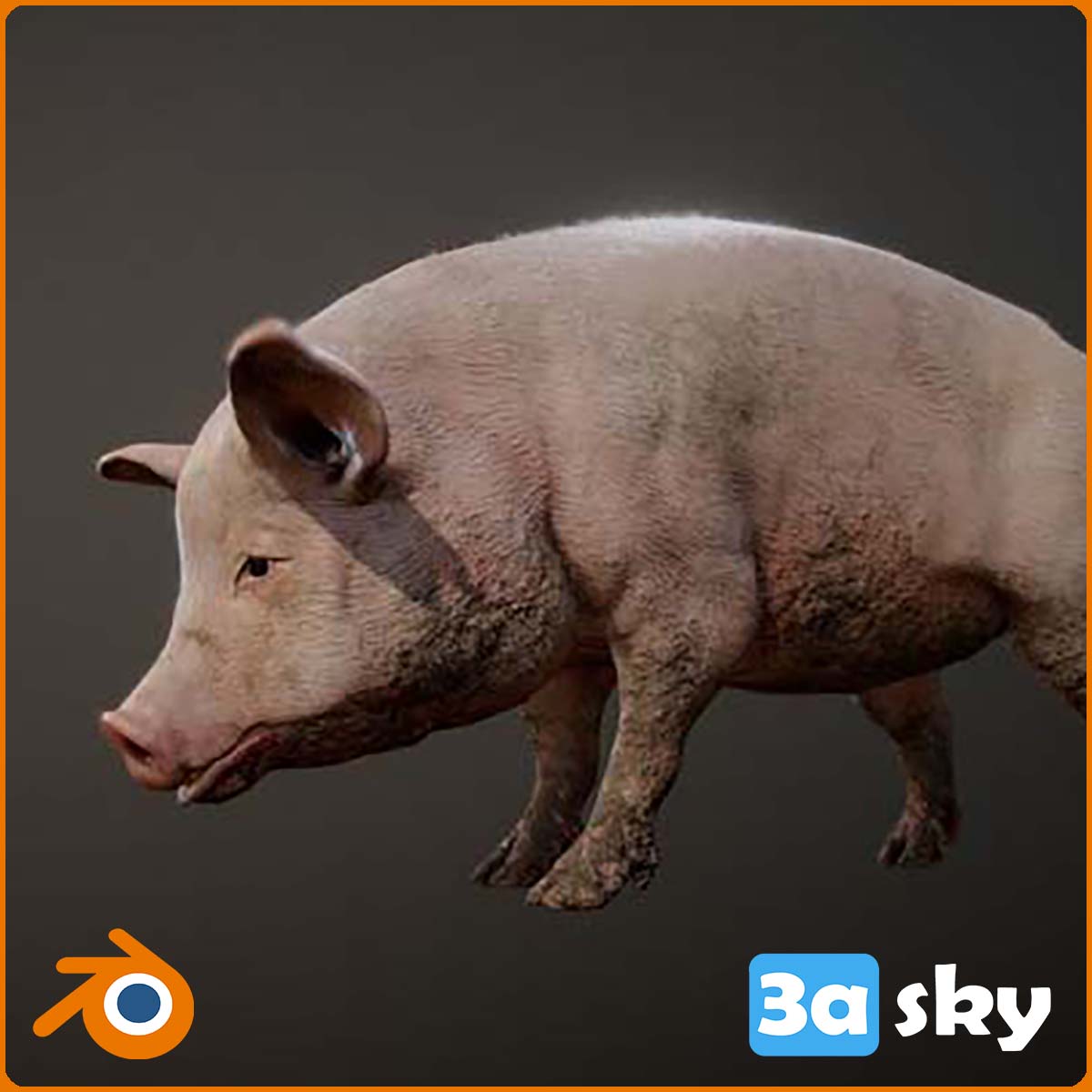 pig animations from BLENDER Models & Free Download